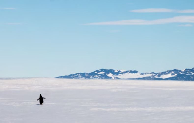 Week 4 Update: Icefin Team 2019 Antarctic Field Season – Planetary ...